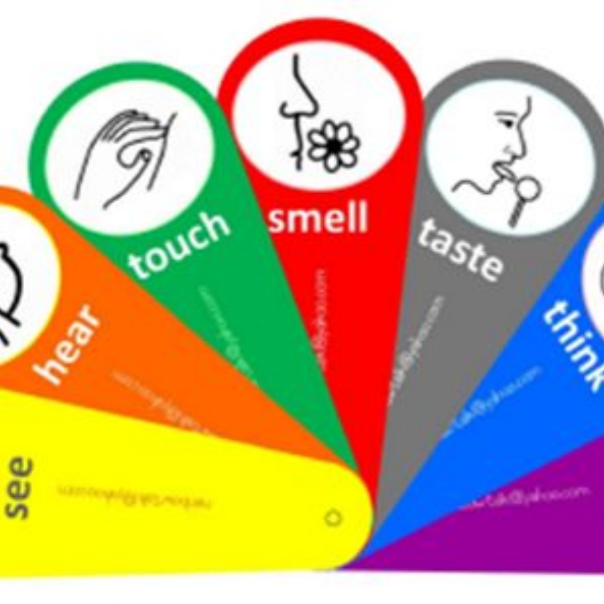 Malin Bridge Primary School - What actually is Rainbow Talk?